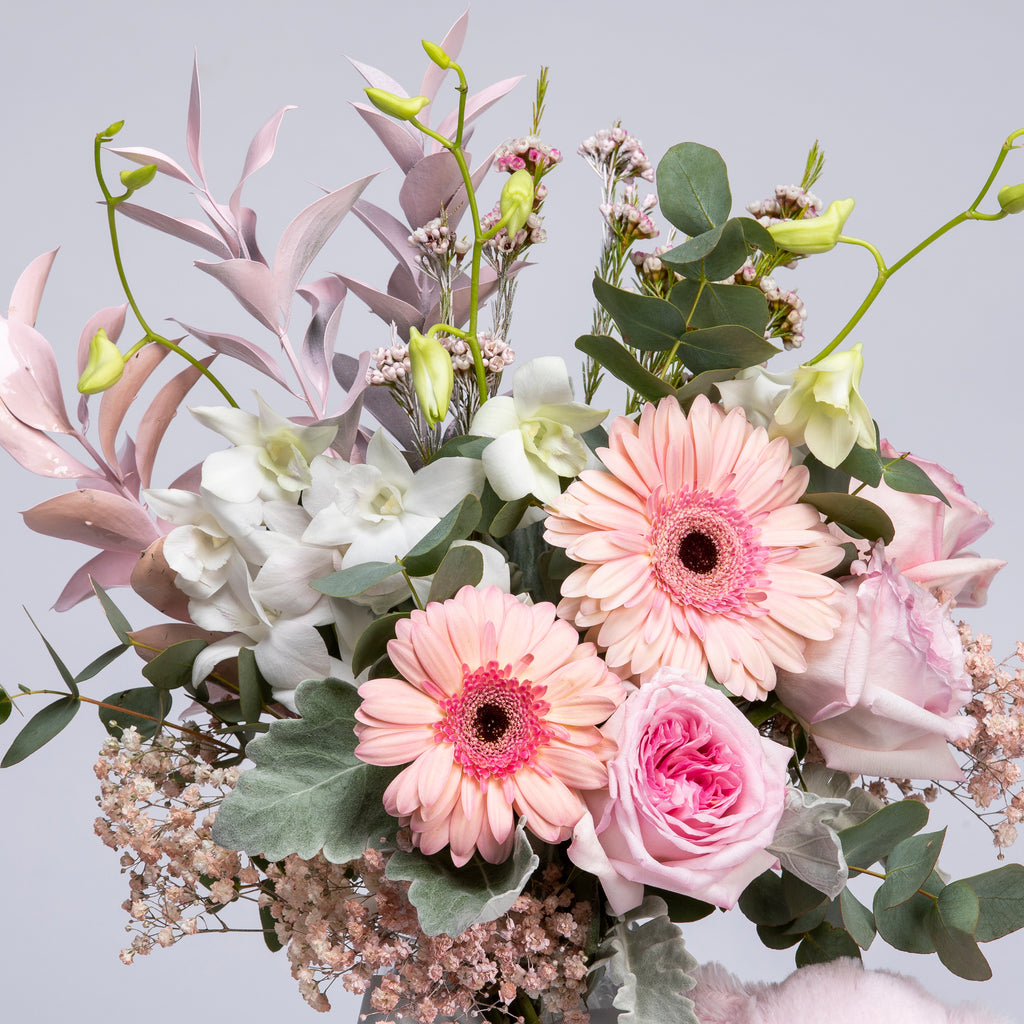 Little Bo-Peep – Malpara Florist